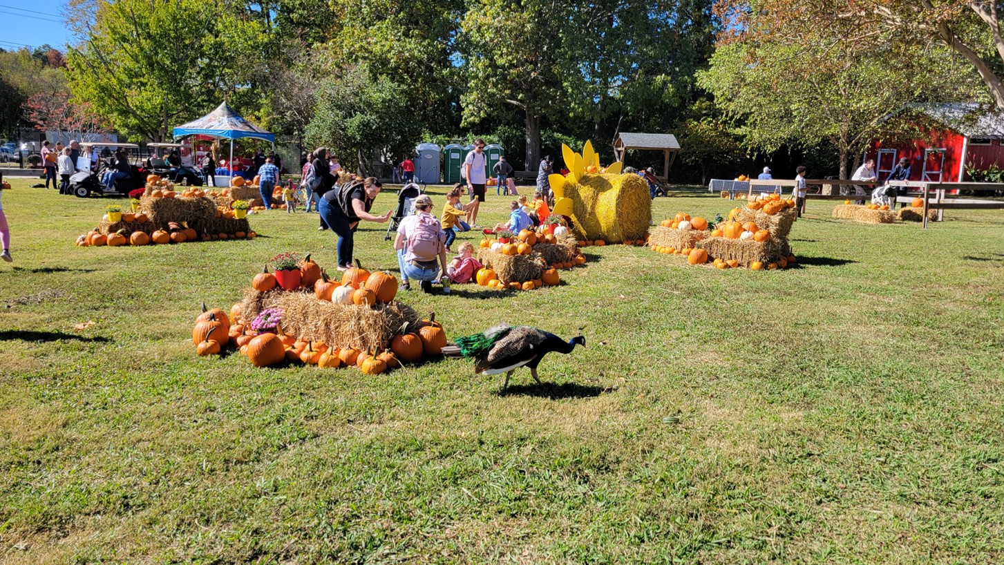 Community Relations News | Bluebird Gap Farm Fall Festival